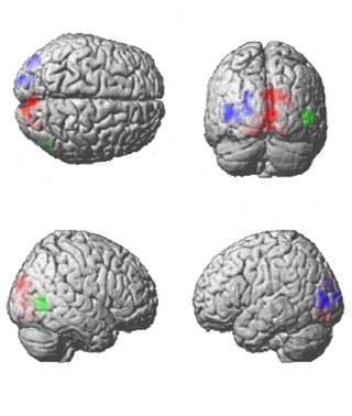 Action and Perception Lab | DEPARTMENT OF PSYCHOLOGICAL SCIENCES
