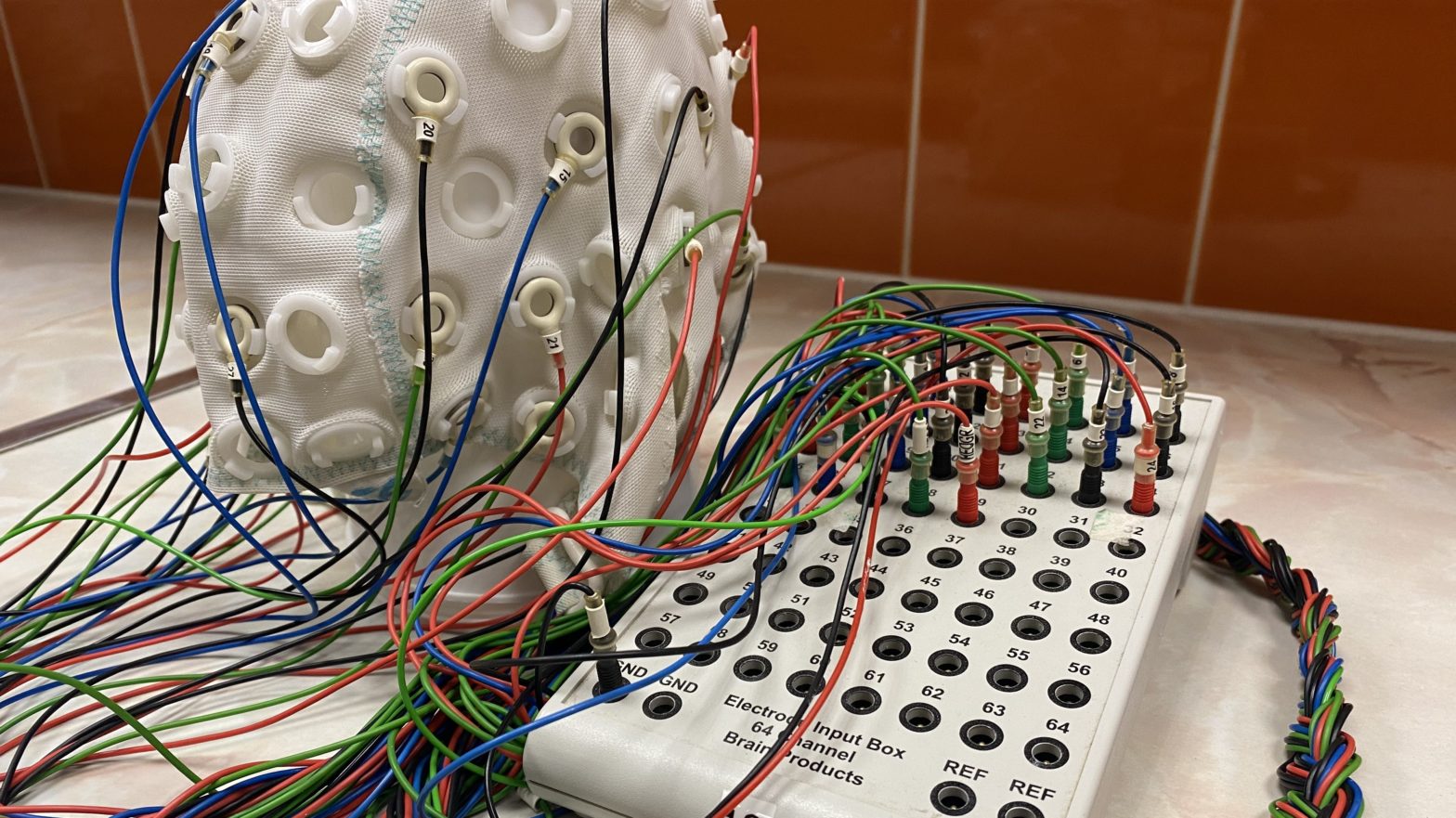 Brain and Behaviour Lab – Department of Psychological Sciences